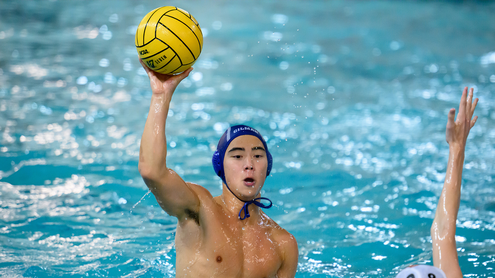 Varsity Water Polo | Gilman School Athletics